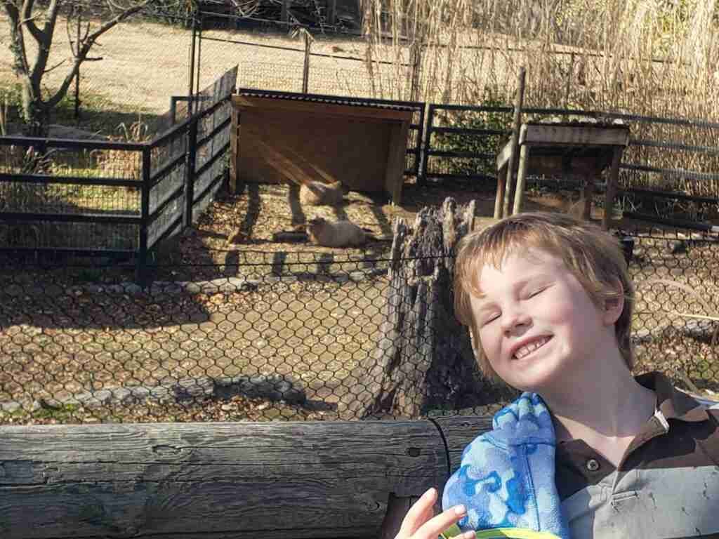 Dickerson Zoo, Springfield, MO - Dadding On The Road